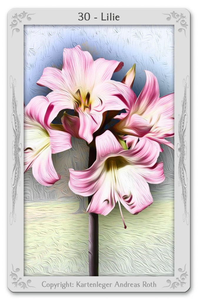 Lenormandkarte Die Lilie: Bedeutung & Kombinationen • Andreas Roth